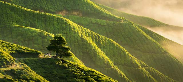 Lever du soleil dans les Cameron Highlands depuis Brinchang