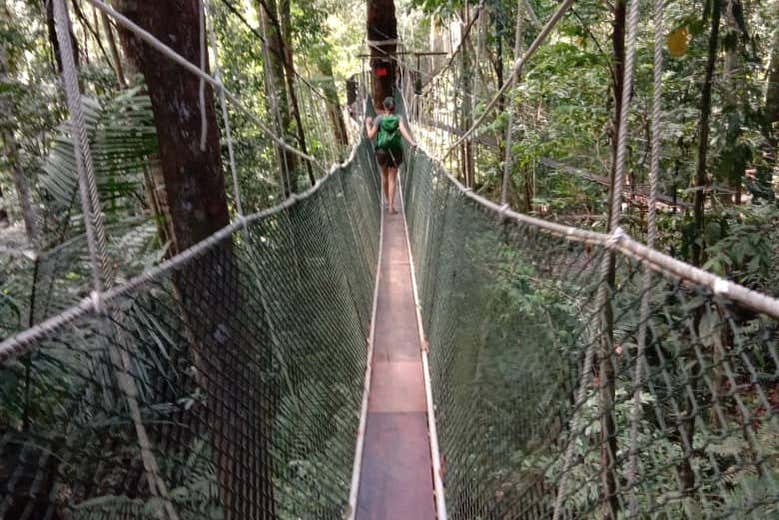 Excursión a la selva Taman Negara desde Kuala Lumpur - Civitatis