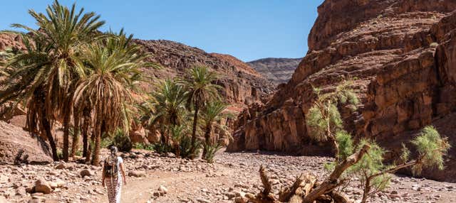 Excursion dans la vallée de Tizgui, Agadir - Civitatis.com