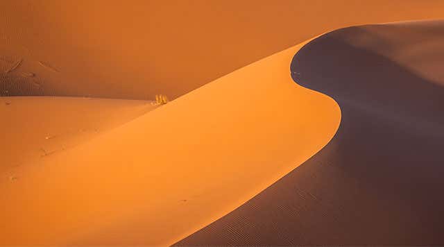 Deserto de Marrakech - O deserto do Saara no Marrocos