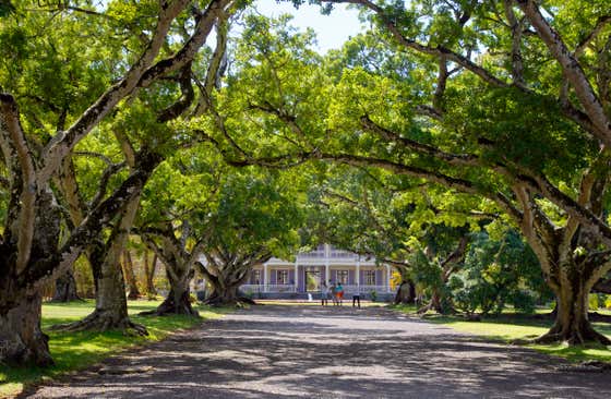 Mauritius Tours and Activities | Best Things to Do