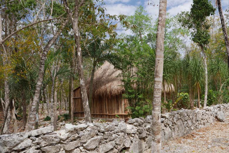 Excursión a Cobá y una aldea maya desde Cancún - Civitatis
