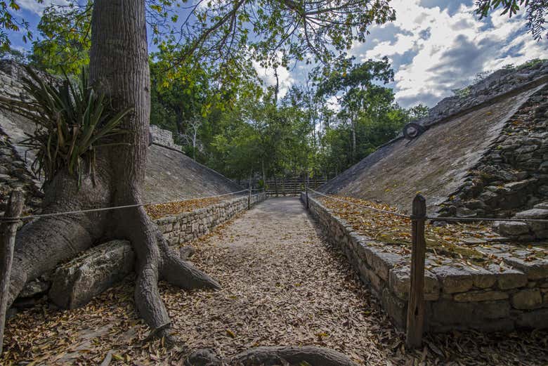 Excursão a Cobá e uma aldeia maia saindo de Cancún - Civitatis