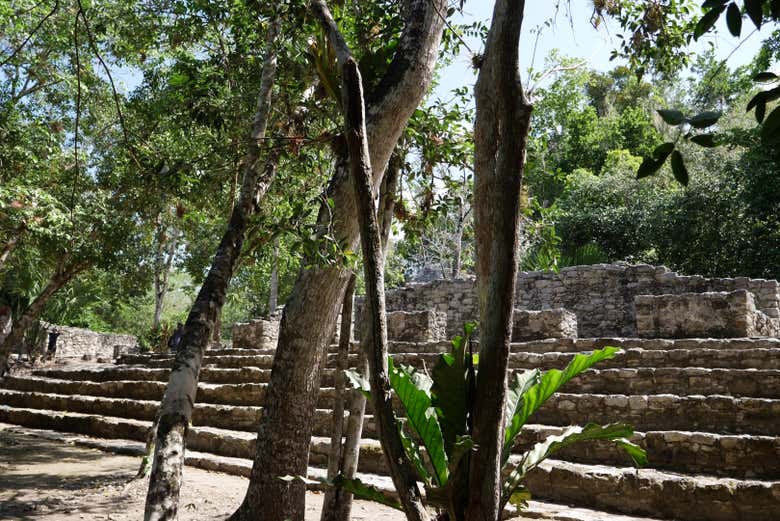 Excursión a Cobá y una aldea maya desde Cancún - Civitatis