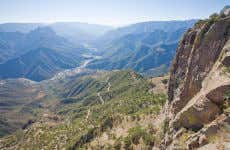 Excursiones, visitas guiadas y actividades en Estado de Chihuahua