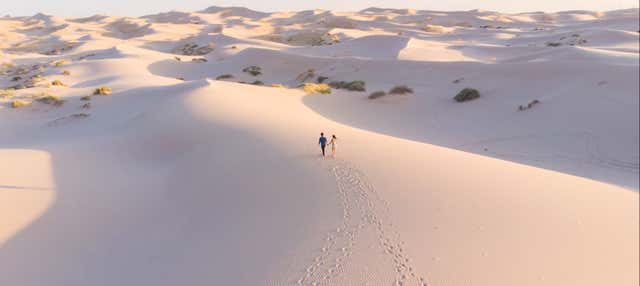 Samalayuca Dunes Sandboarding Tour from Chihuahua - Civitatis.com