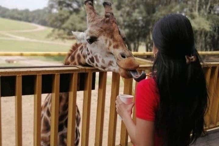 Excursión al Bioparque Estrella desde Ciudad de México