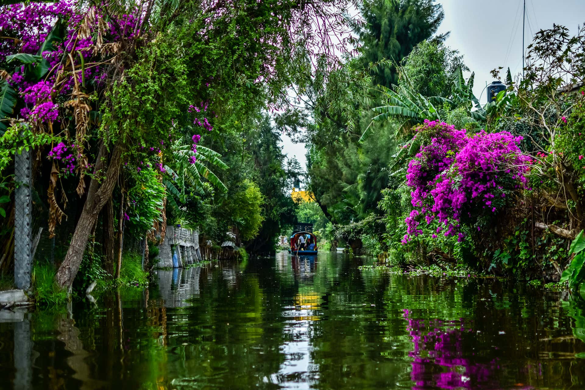 Tour por los barrios de Xochimilco y Coyoacán, Ciudad de México