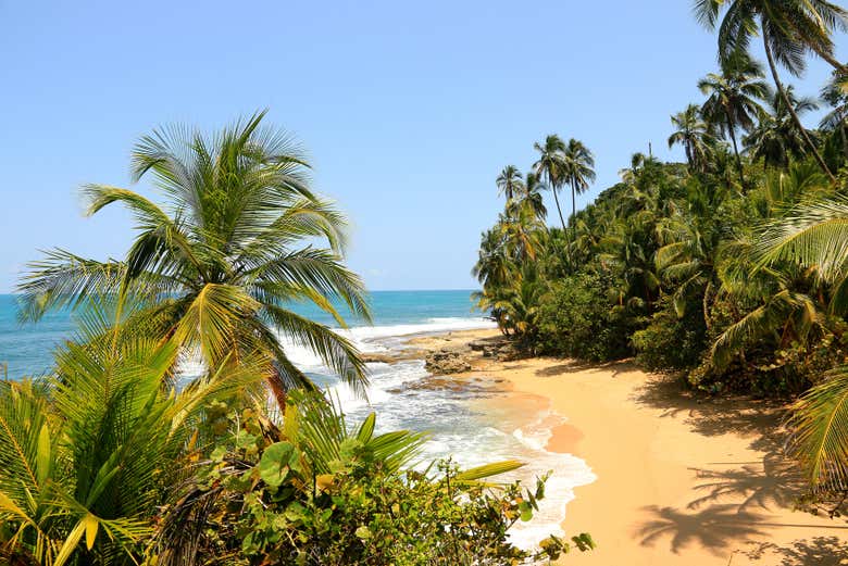 Tour di 6 giorni a Colima, Comala e Manzanillo - Civitatis.com