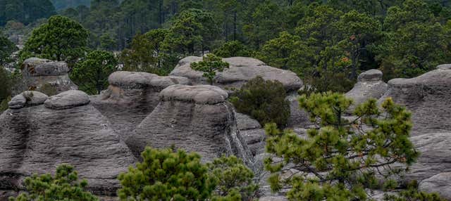 Mexiquillo Natural Park Day Trip from Durango - Civitatis.com