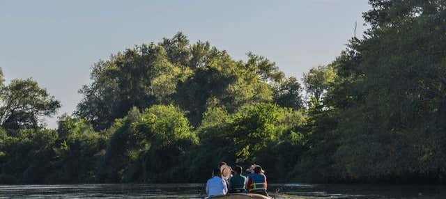Passeio de barco pelo rio Fuerte, El Fuerte - Civitatis.com Brasil