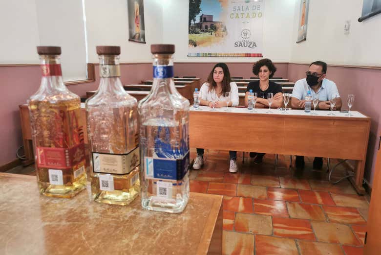 Excursión a Tequila con visita a una destilería y degustación desde ...