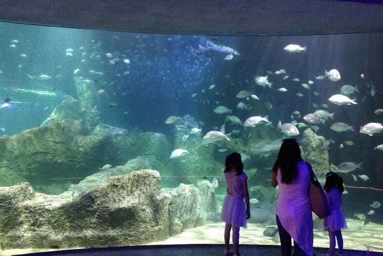Tour por Guadalajara y el Acuario Michin - Civitatis.com México