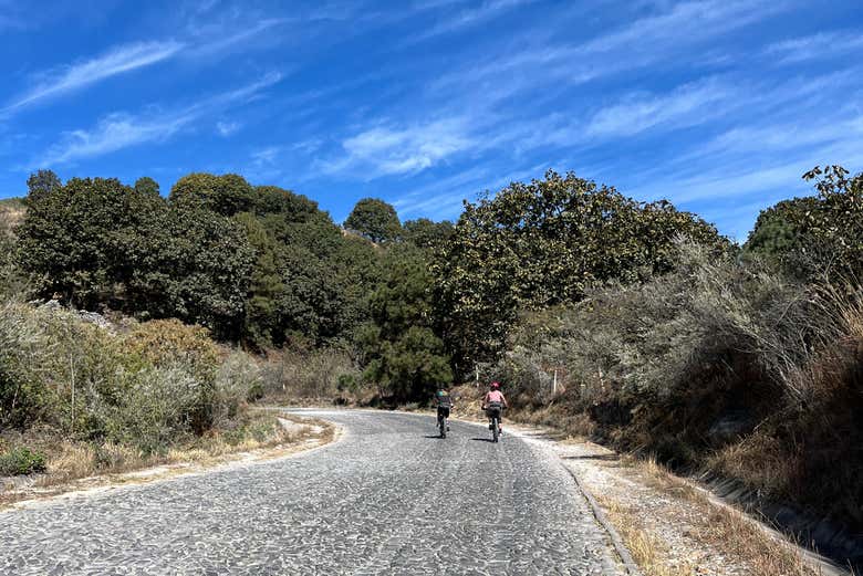 Tour della riserva La Primavera in bici da Guadalajara - Civitatis