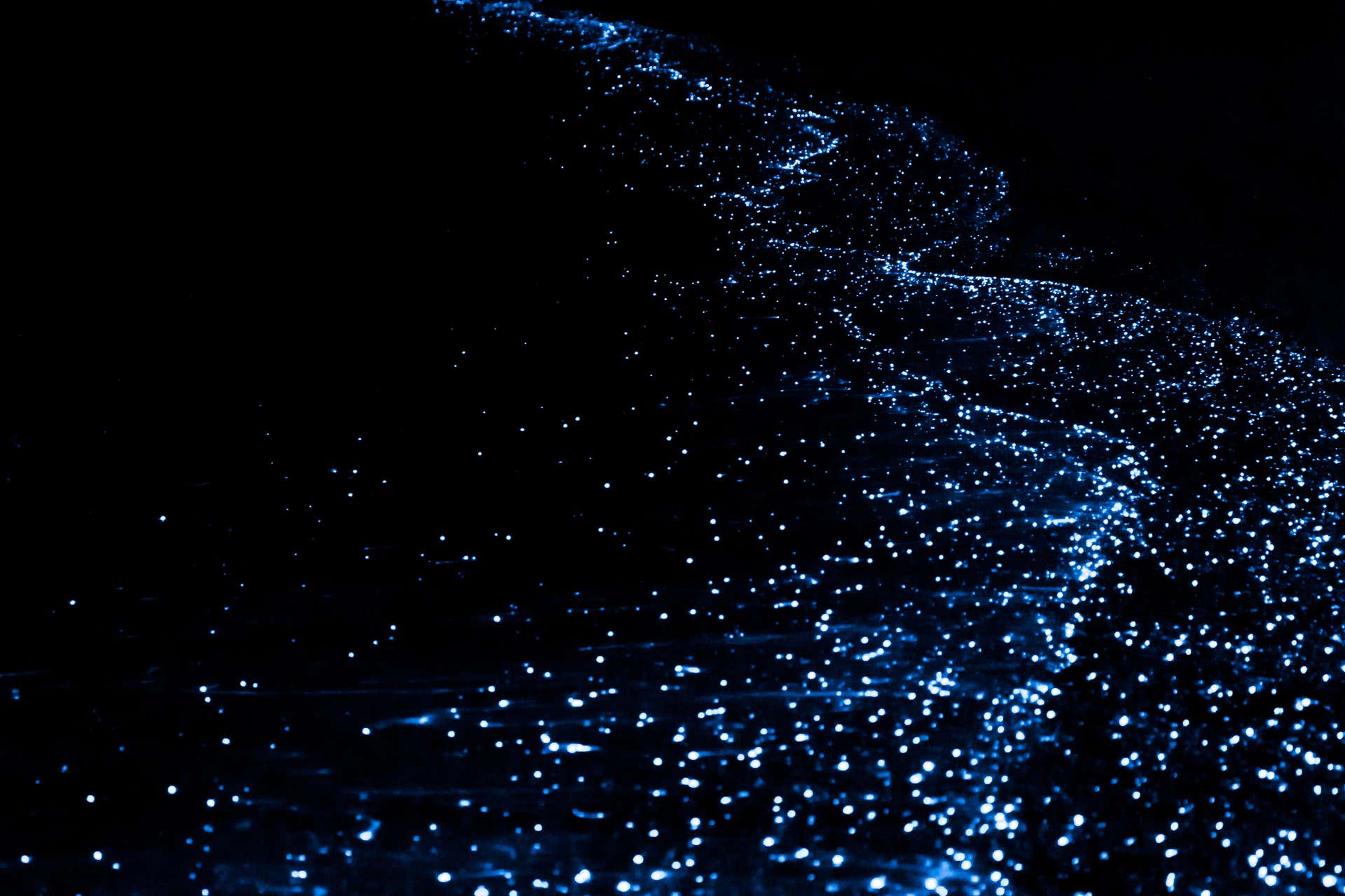 Tour do plâncton luminescente por Punta Cocos saindo de Holbox