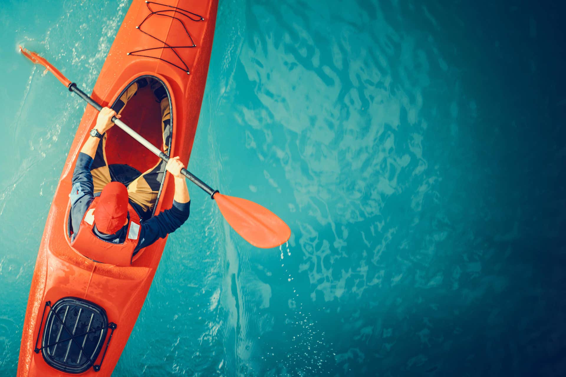 Tour en kayak por la laguna de Términos desde Isla Aguada