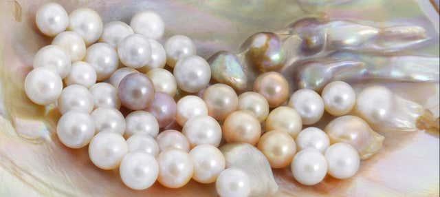 Visita a una granja de perlas, La Paz - Civitatis.com