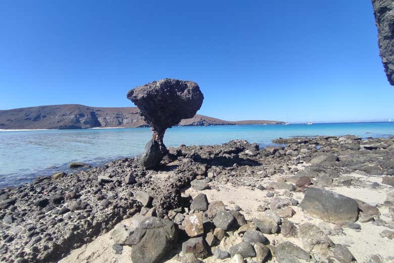 Excursión a la playa Balandra y Todos Santos desde Los Cabos