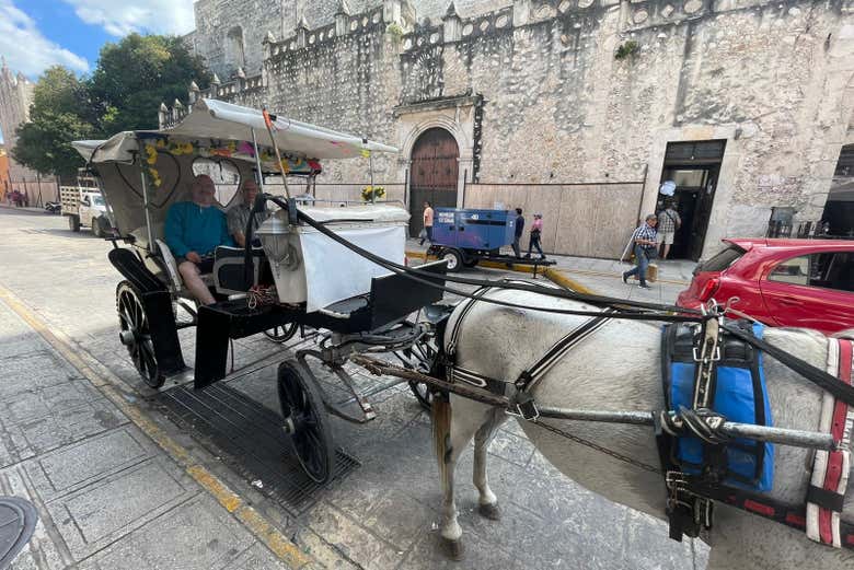 Paseo privado en calesa por Mérida - Reserva en Civitatis.com