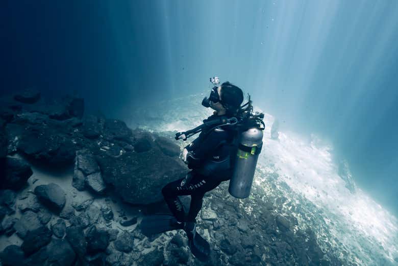 Cenote Diving in Mérida - Book Online at Civitatis.com