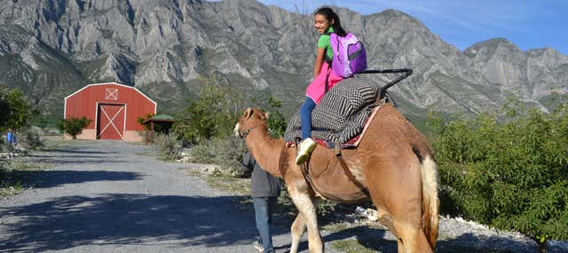 Excursión al Centro Ecológico Xenpal desde Monterrey - Civitatis México