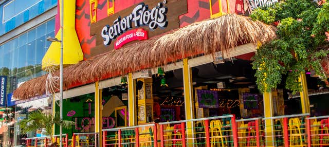 Ristorante Señor Frog's Mexican Food & Fiesta Playa del Carmen - Civitatis