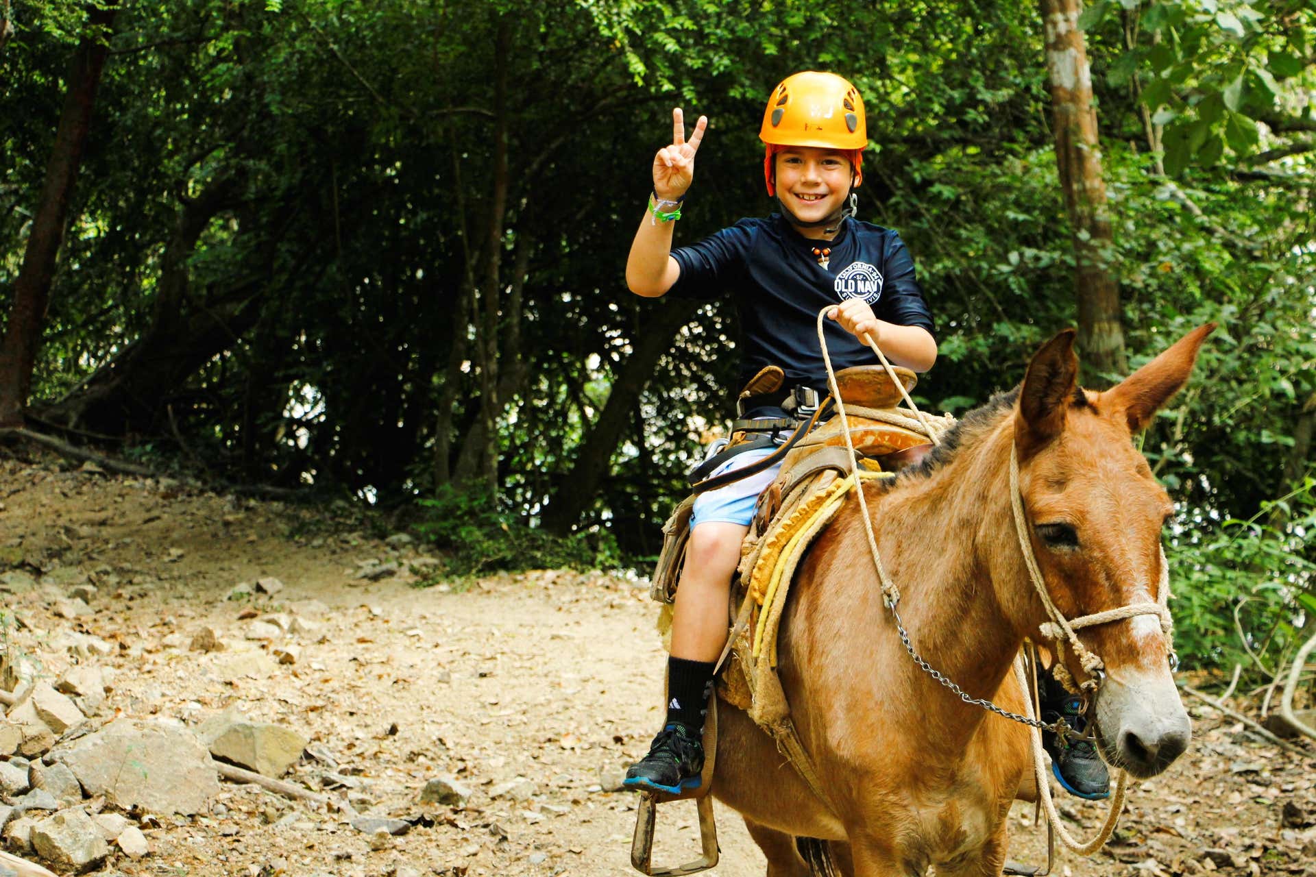 Puerto Vallarta Zip Line Tour & Mule Ride - Book at Civitatis.com