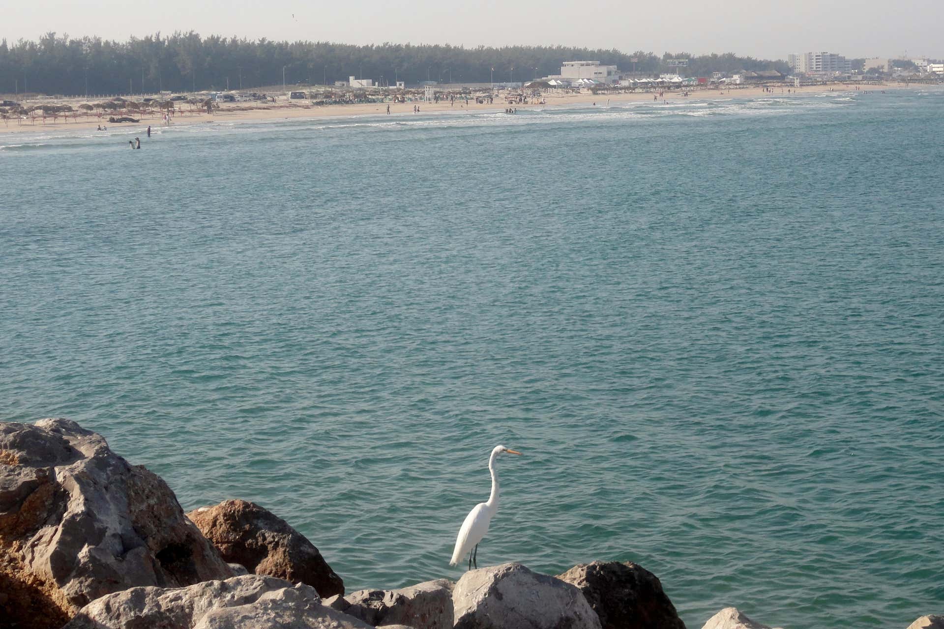 Tour por Tampico y playa Miramar - Reserva online en Civitatis.com