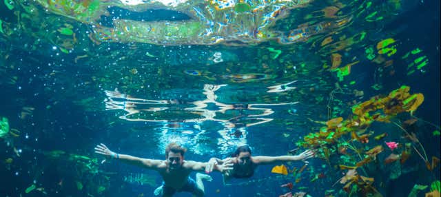 Tulum Horse Riding Tour + Maya Cenote Snorkelling - Civitatis.com