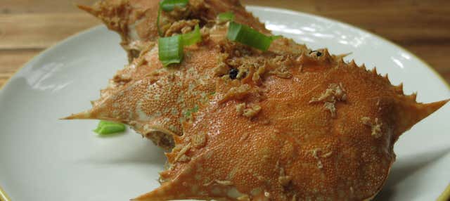 Boca del Río Day Trip from Veracruz - Book at Civitatis.com