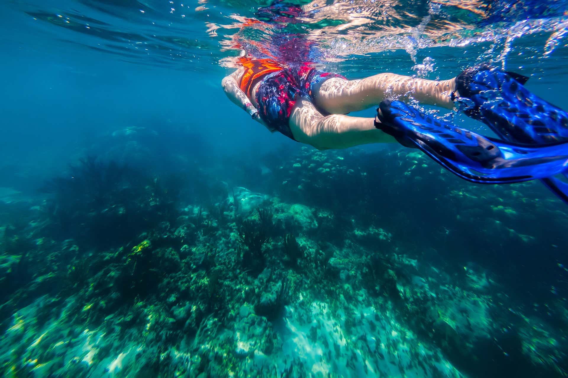Marino Xcalak National Park Snorkeling Tour - Civitatis.com