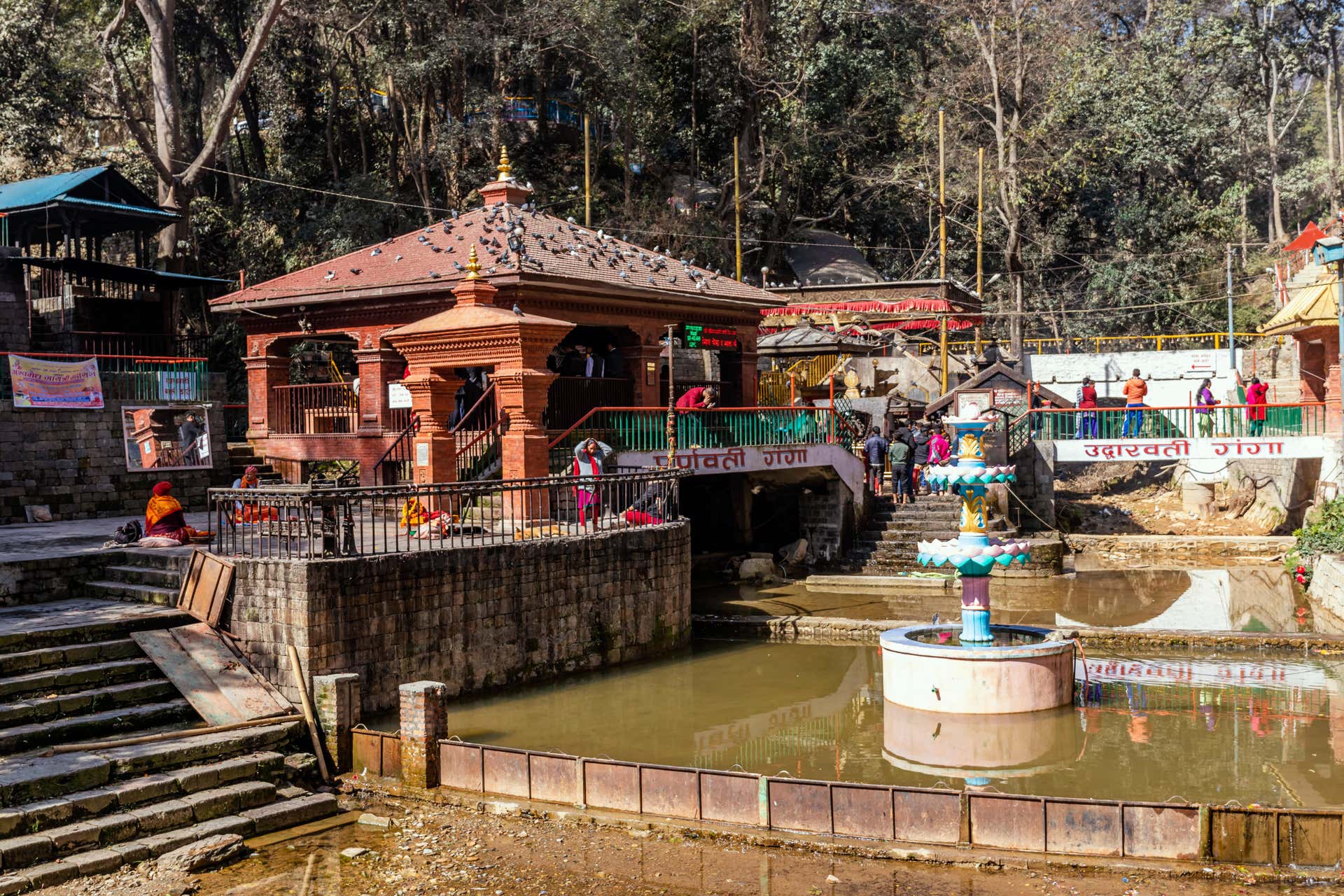 Excursión a Dakshinkali desde Katmandú - Civitatis.com