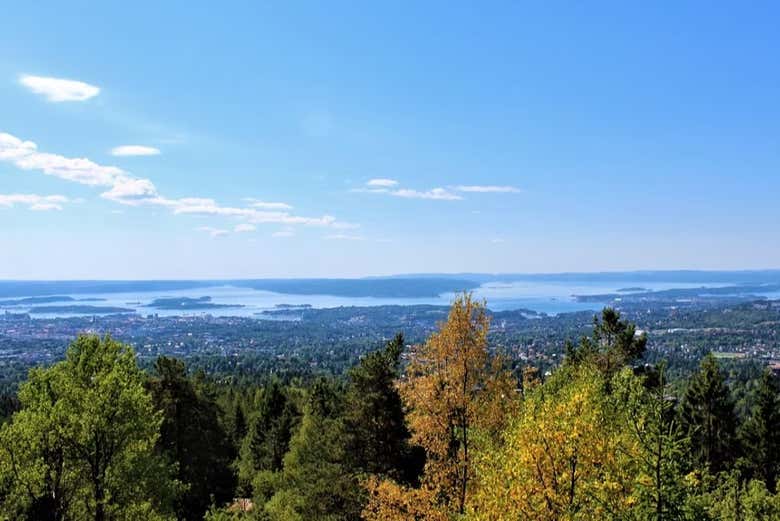 Hiking Tour around Vettakollen from Oslo - Book at Civitatis.com