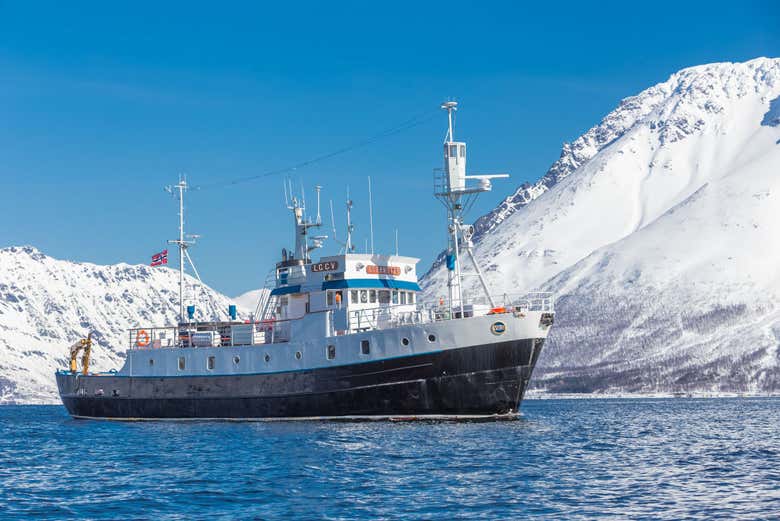 Crucero de la aurora boreal por Tromsø - Reserva en Civitatis.com