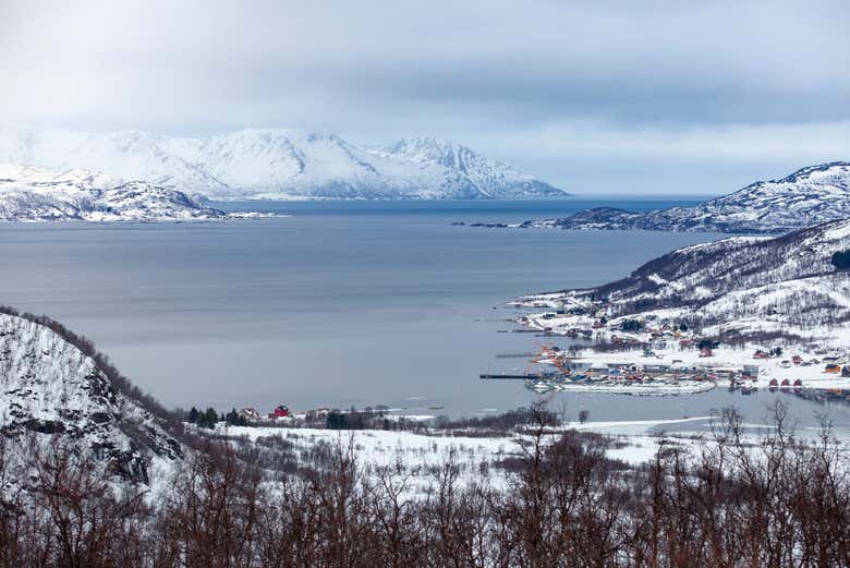 Tour to Kvaløya Island & Fjord from Tromsø - Civitatis.com