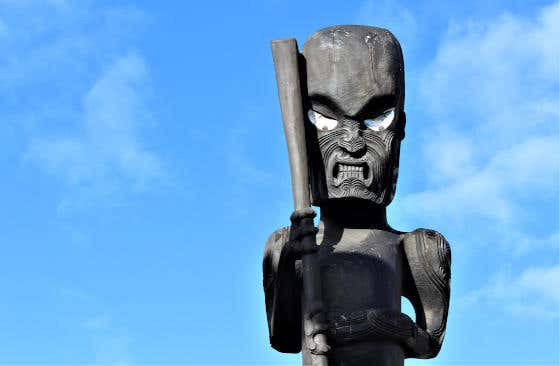 New Zealand Tours and Activities | Best Things to Do