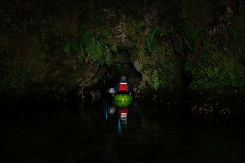Glowworm Caves Kayaking Tour in Rotorua - Book at Civitatis.com