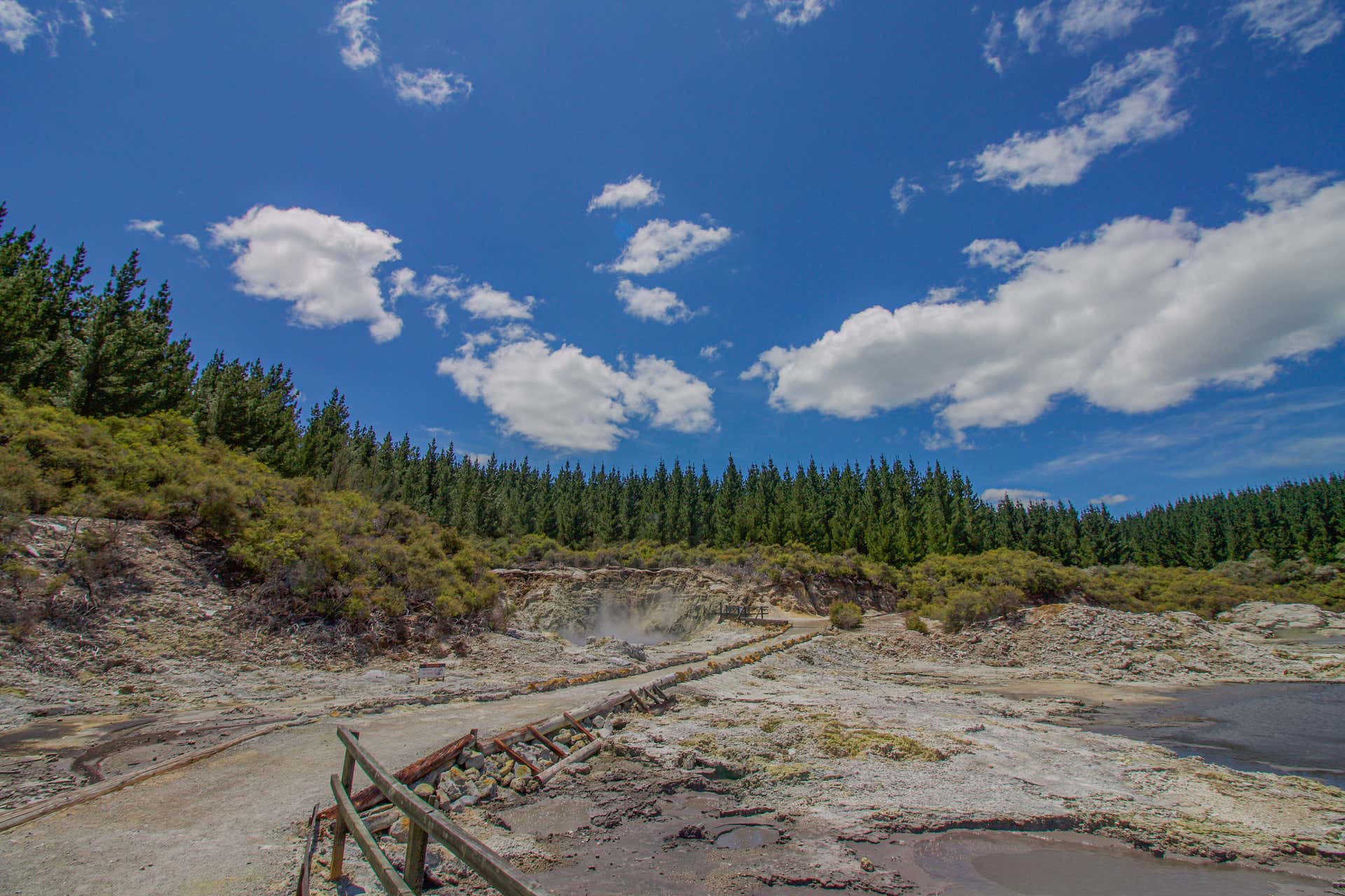 Visita guidata della riserva geotermica di Hell’s Gate, Rotorua