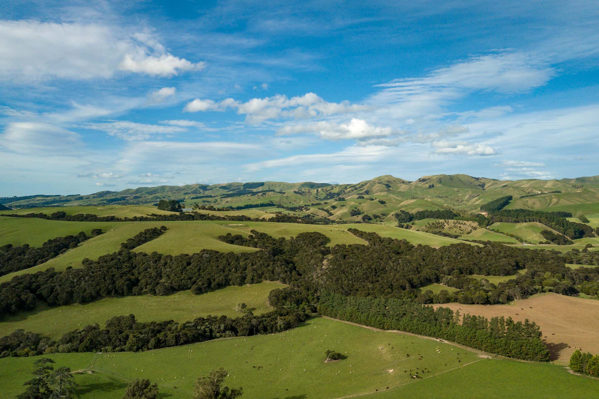 Martinborough Winery Half Day Tour, Wellington