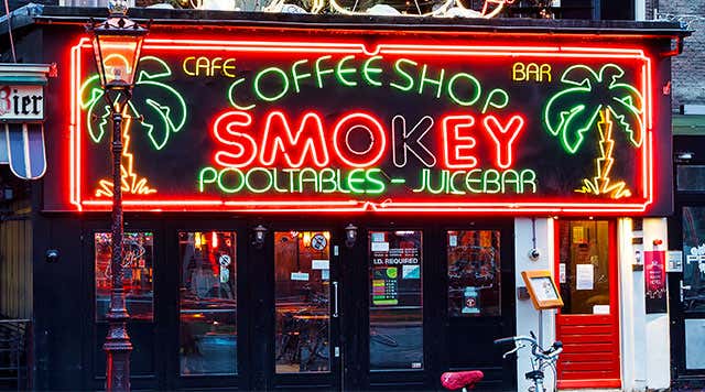 Coffee Shops - O que são os Coffee Shops de Amsterdam?