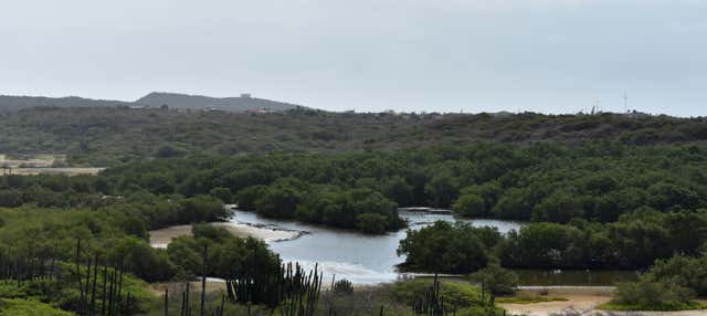 Trilha pela Spanish Lagoon saindo de Oranjestad - Civitatis Brasil