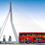 Excursiones, visitas guiadas y actividades en Róterdam