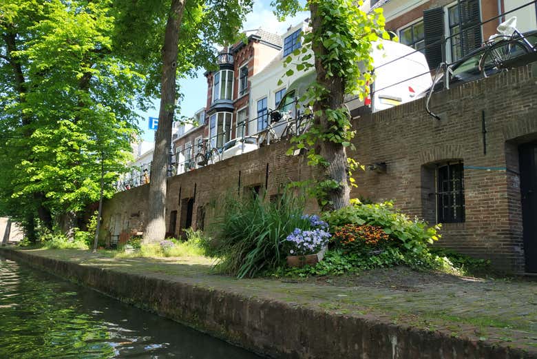 Tour en kayak por los canales de Utrecht - Civitatis.com Argentina