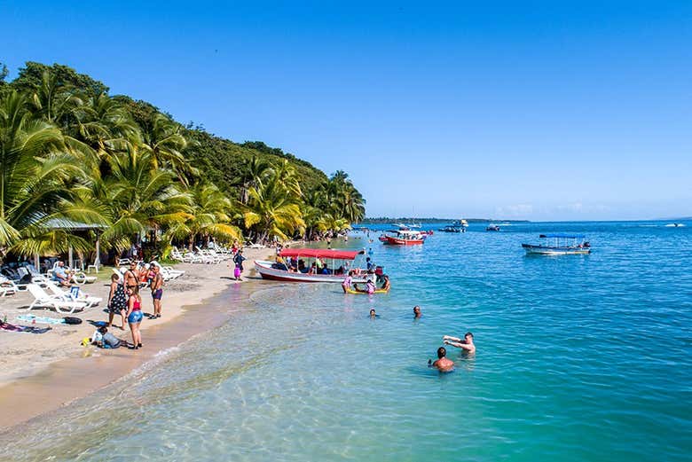 Excursión a Playa Estrella y la Isla Pájaros desde Boca del Toro, Bocas ...