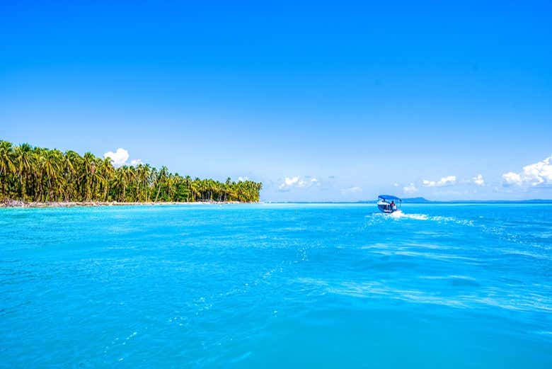 Bocas del Toro Private Excursions - Book Online at Civitatis.com