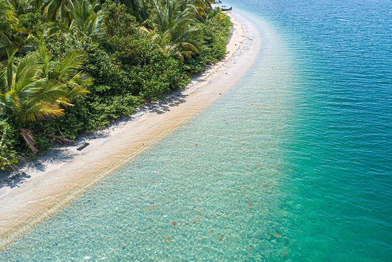 Bocas del Toro Private Excursions - Book Online at Civitatis.com