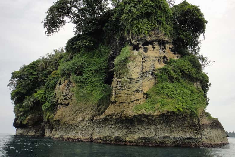 Excursión a Playa Estrella y la Isla Pájaros desde Boca del Toro, Bocas ...