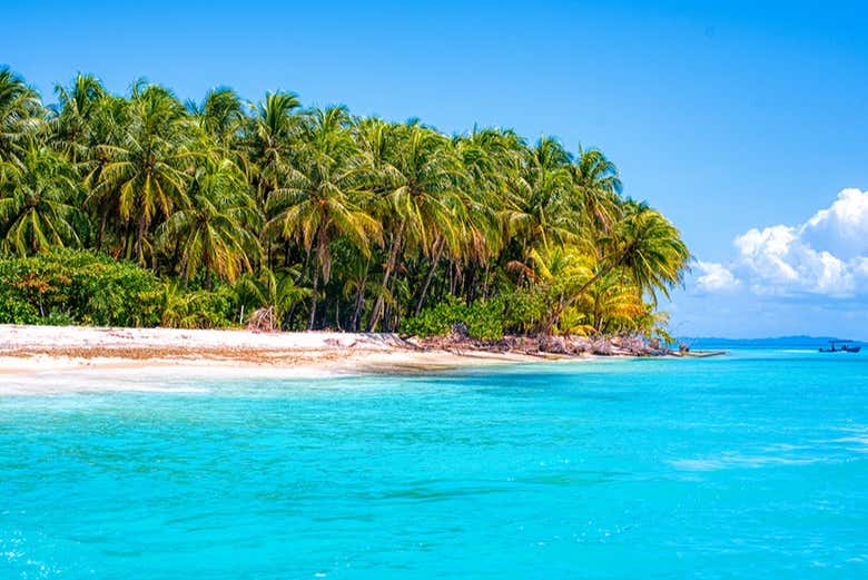 Bocas del Toro Private Excursions - Book Online at Civitatis.com