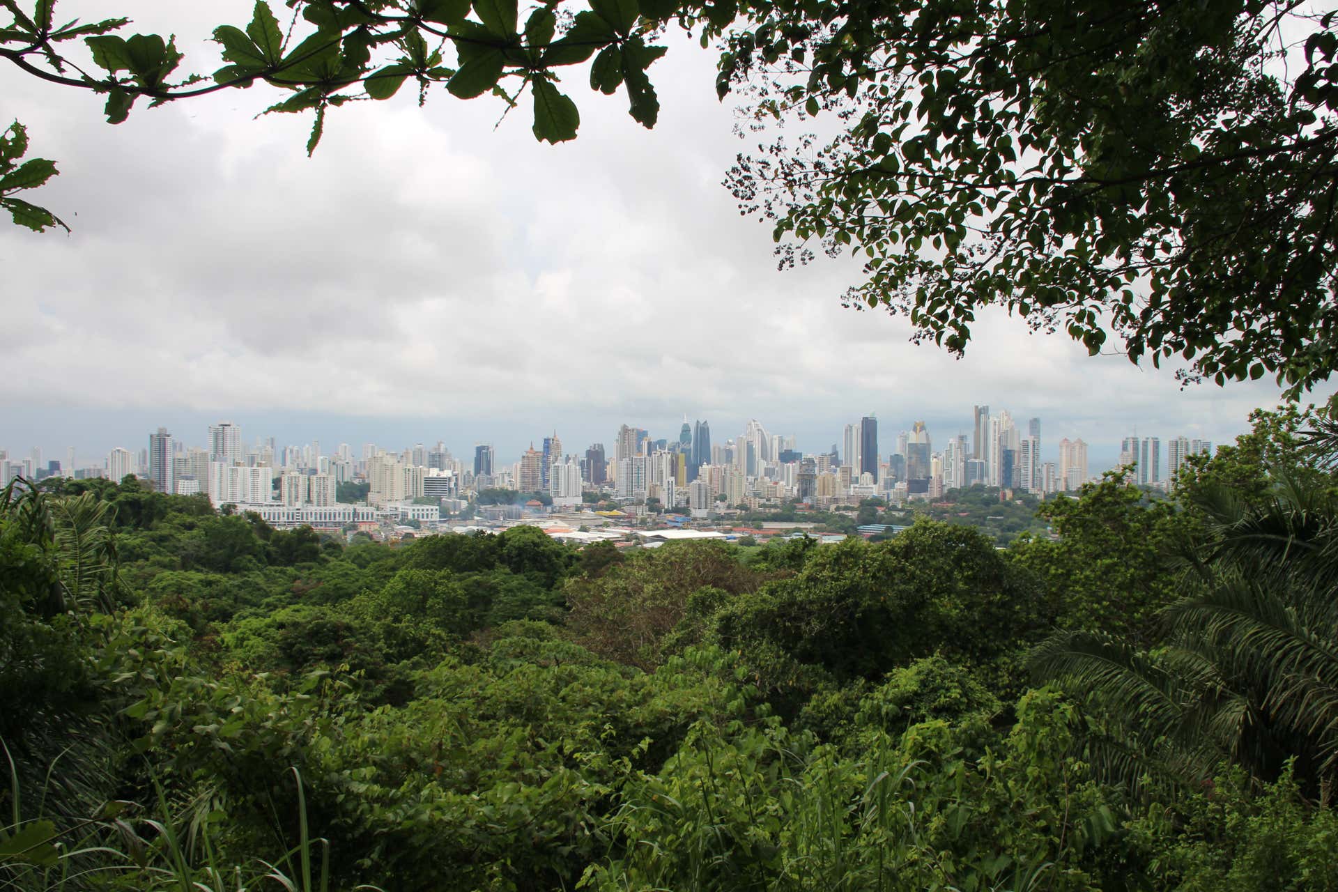 Parque Natural Metropolitano, cerro Ancón e Punta Culebra, Cidade do Panamá