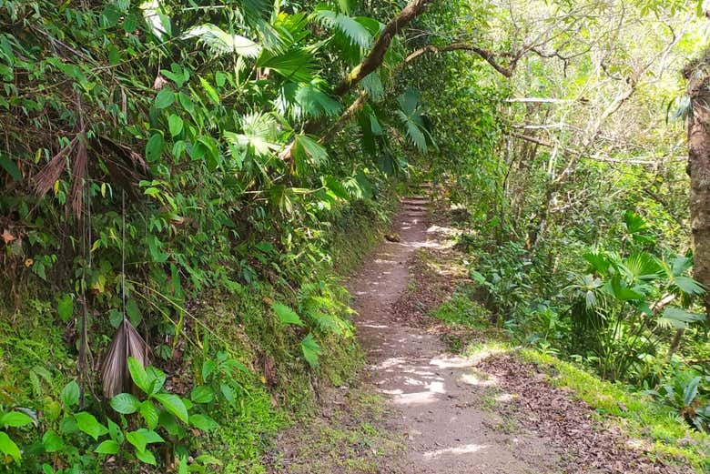 Randonnée à El Valle de Antón - Réservez sur Civitatis.com